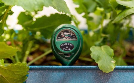 Soil Test Kits Simplified: Understanding The Basics - Biographyer